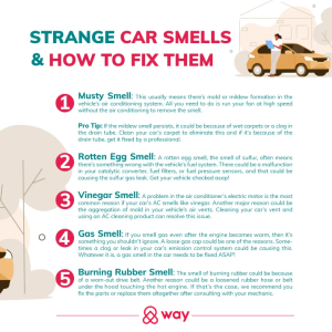 Strange car smells and how to fix them | Expert tips for removing smell
