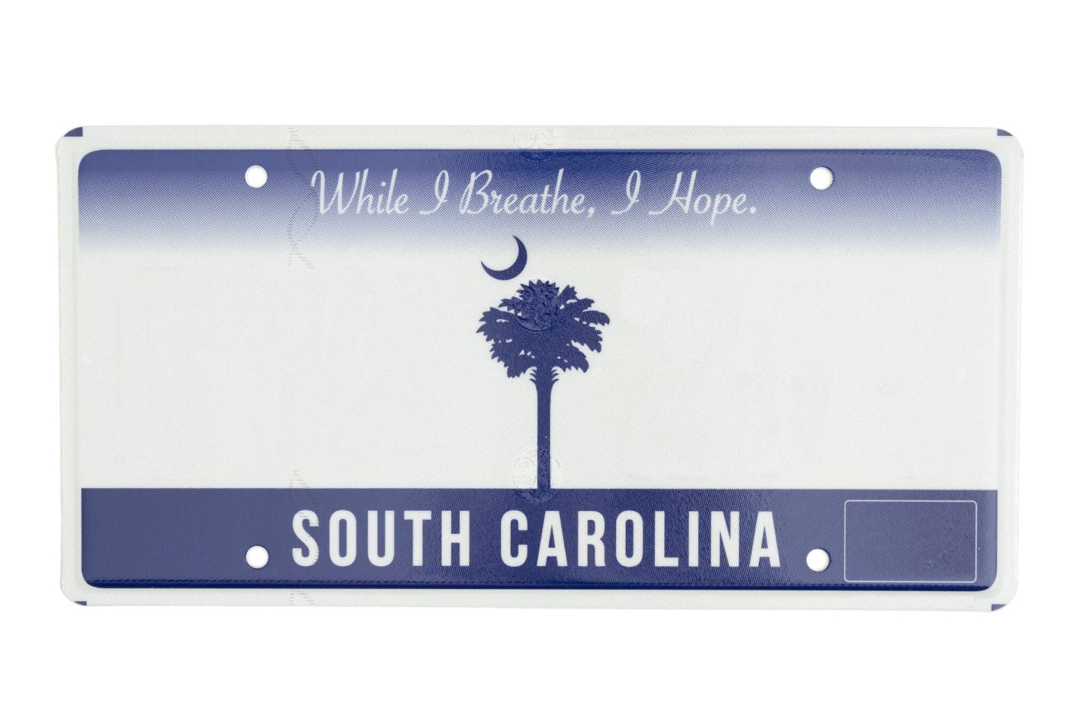 Know Everything About South Carolina License Plates