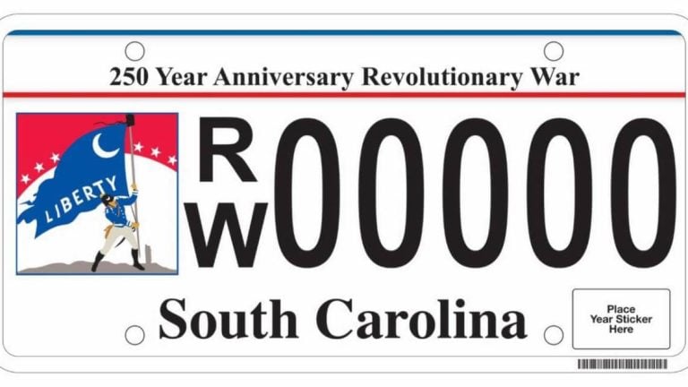 Know Everything About South Carolina License Plates