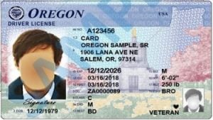 Oregon Driver’s License Requirements: What You Must Know!