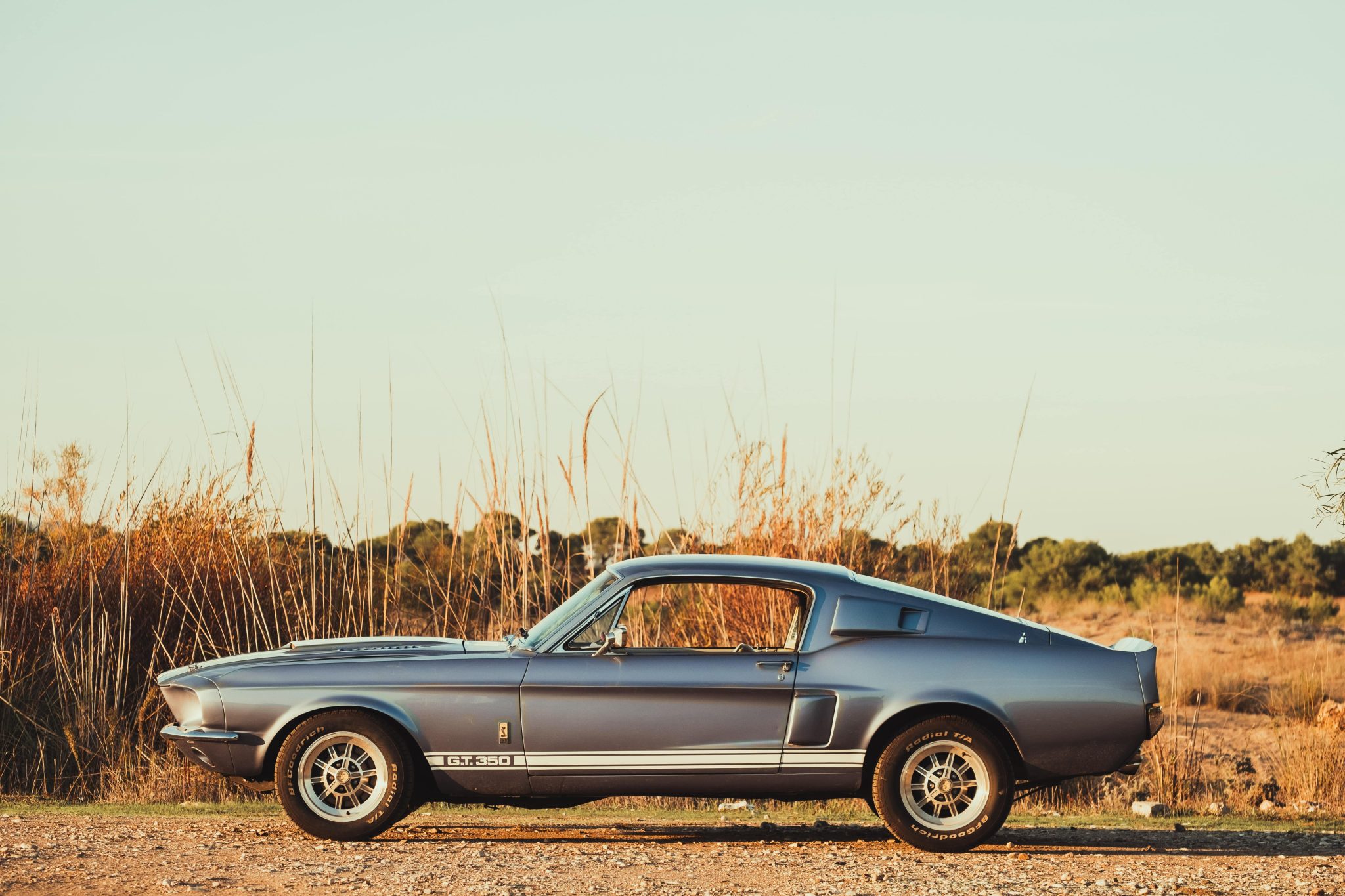 Mustang Holy Grail: Top 10 Rarest Mustangs in the World!