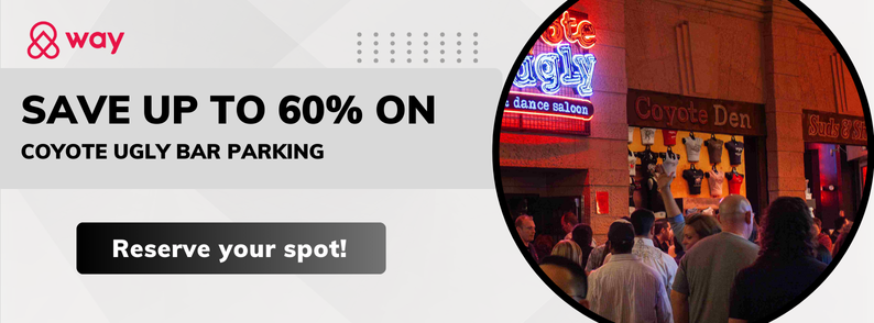 Coyote Ugly Bar à New York : où chaque jour est une raison de faire la ...