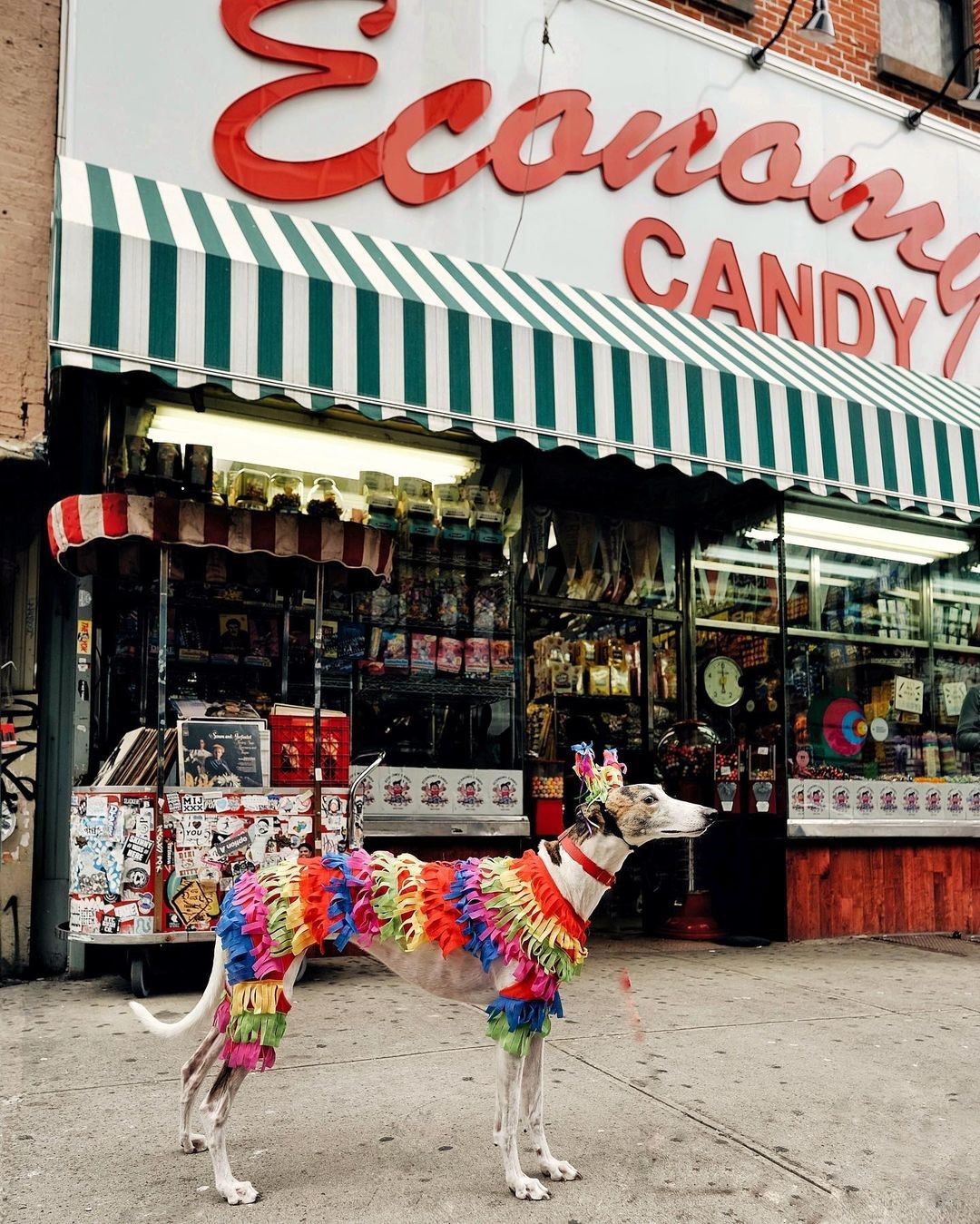 Como a Economy Candy se tornou o paraíso dos doces em Nova York